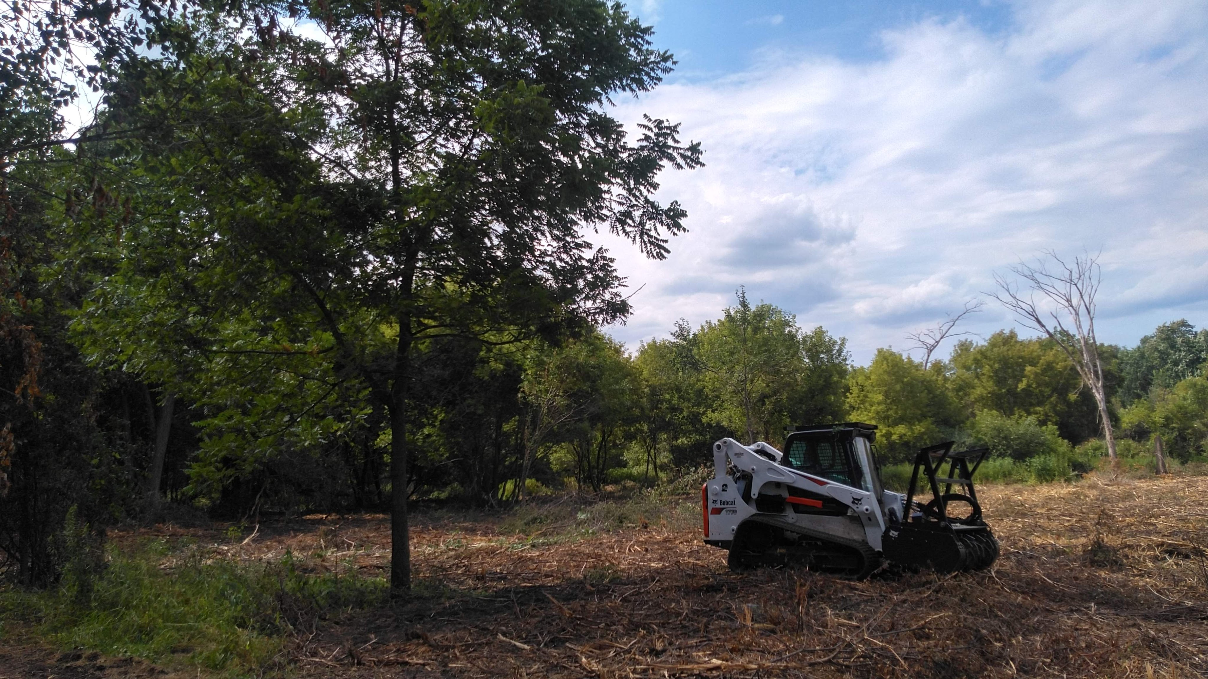 Forest Mulching – Rynish Forestry, Inc.